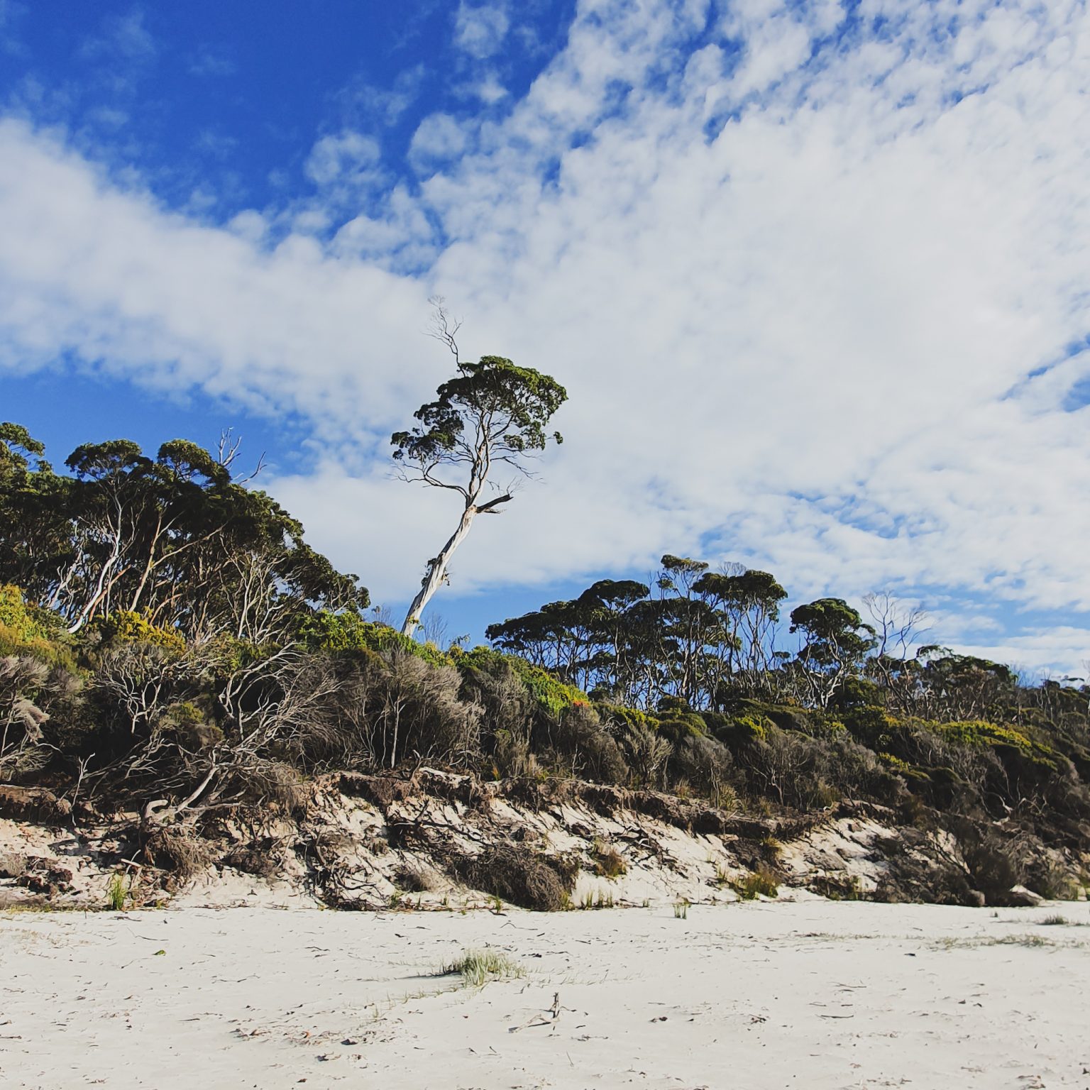 Beaches - EagleHawk Neck